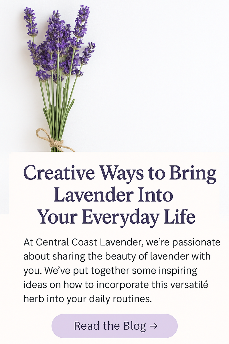 Creative Ways to Bring Lavender Into Your Everyday Life – Central Coast ...
