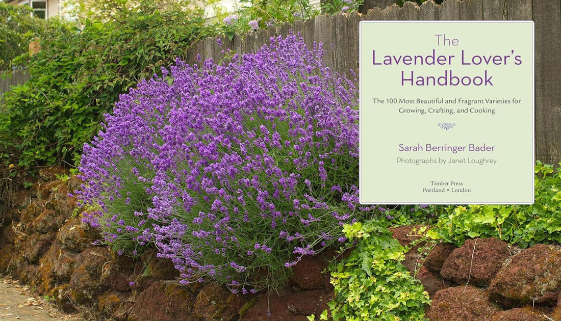 Lavender Lovers Handbook – Central Coast Lavender